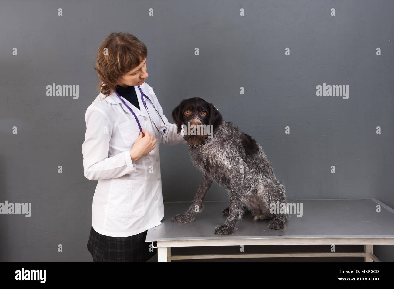 Office veterinary clinic pet hi-res stock photography and images - Alamy