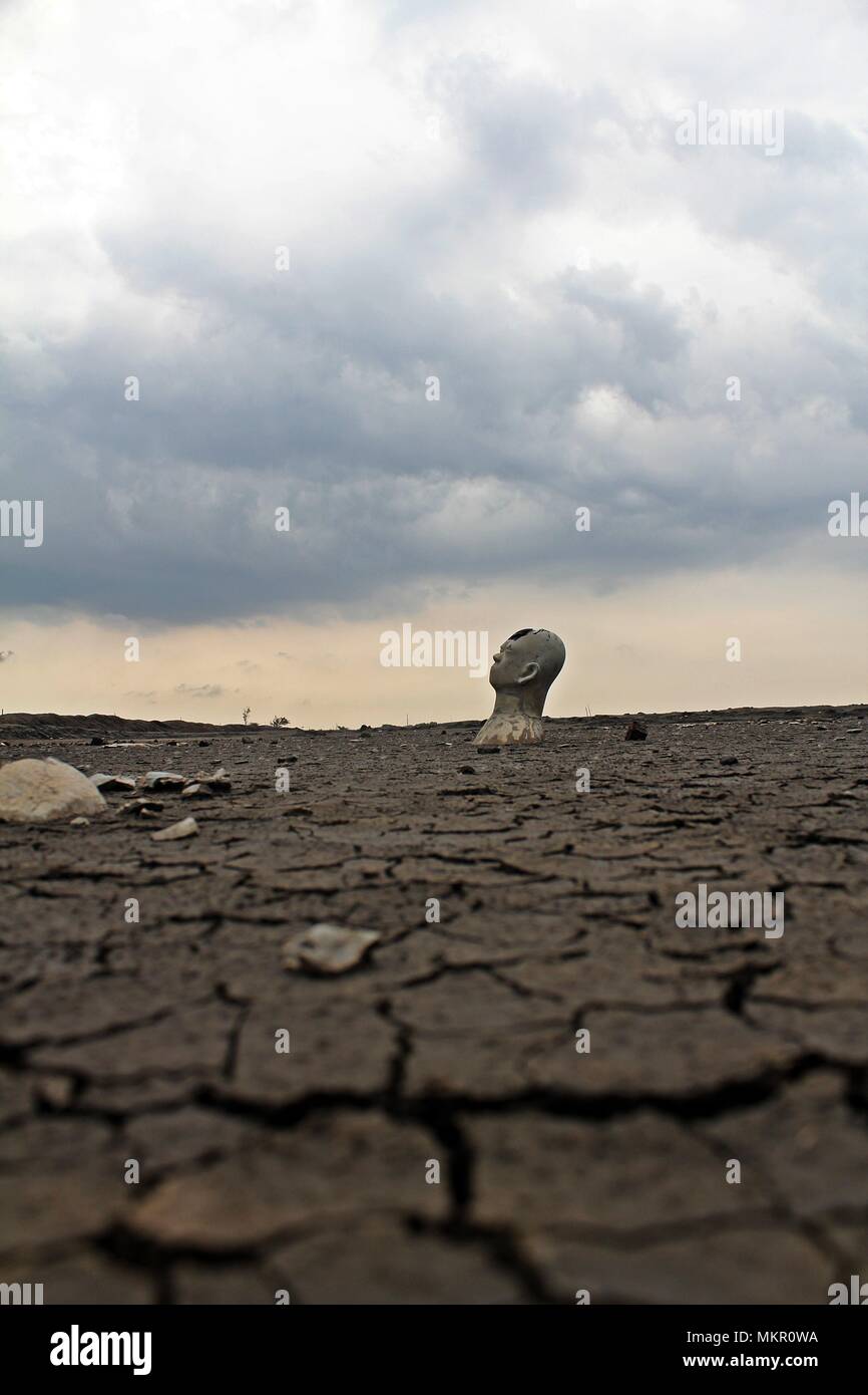 the dry nature after the mud disaster Stock Photo - Alamy