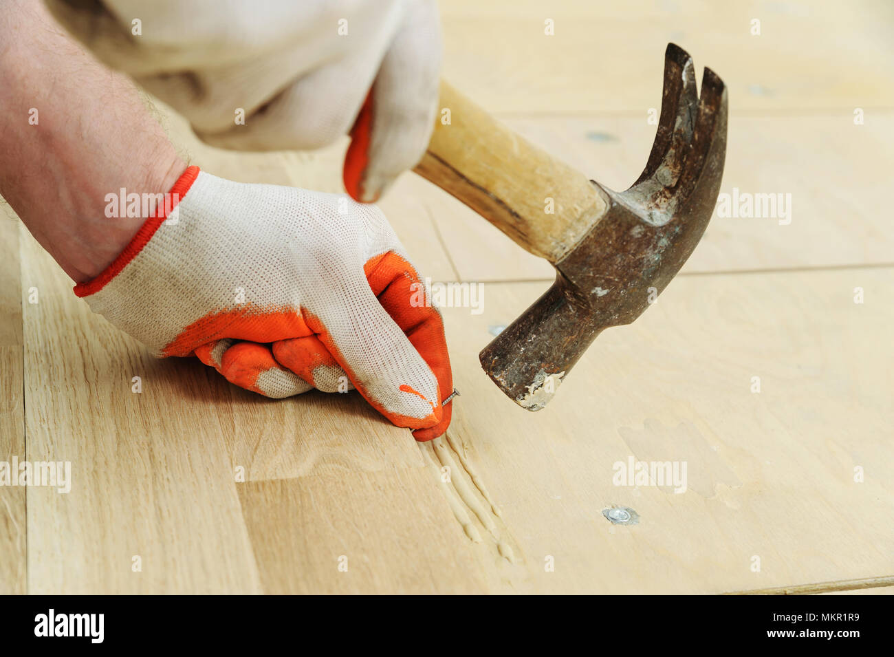 Laying hardwood parquet. Worker put the nail using a hammer Stock Photo ...