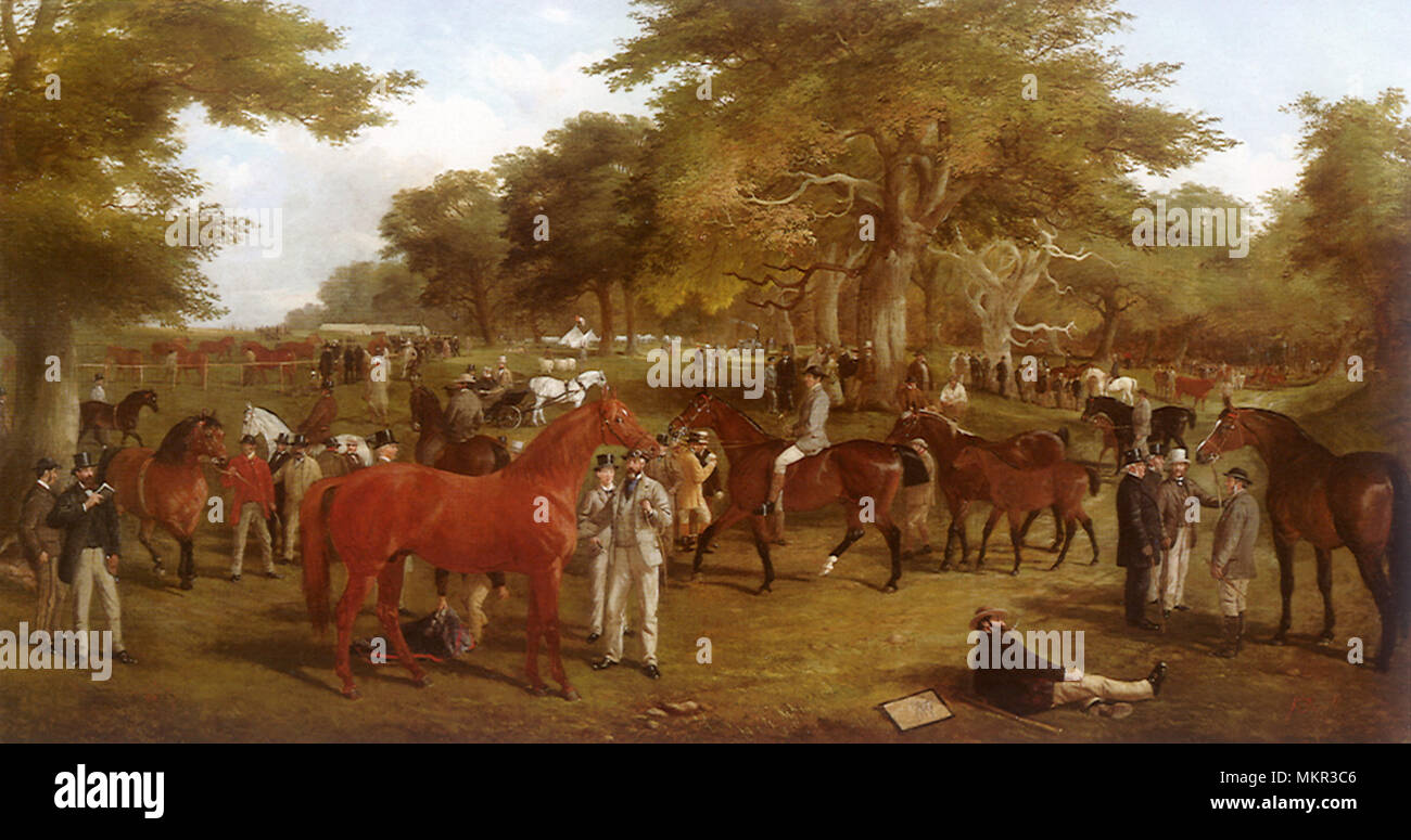 Suffolk horse hi-res stock photography and images - Alamy