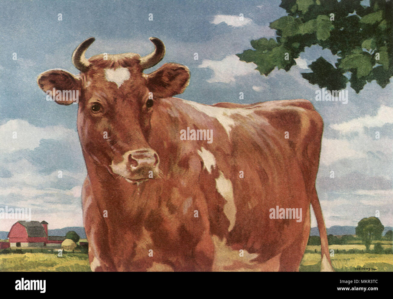 Classic farm animals hi-res stock photography and images - Alamy
