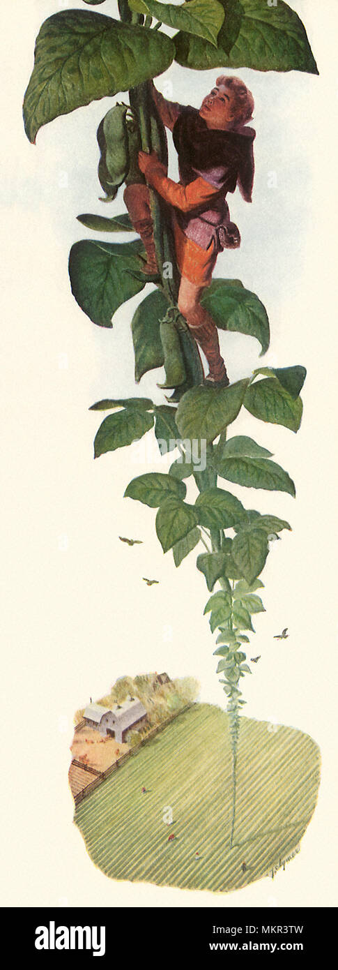 Jack bean hi-res stock photography and images - Alamy