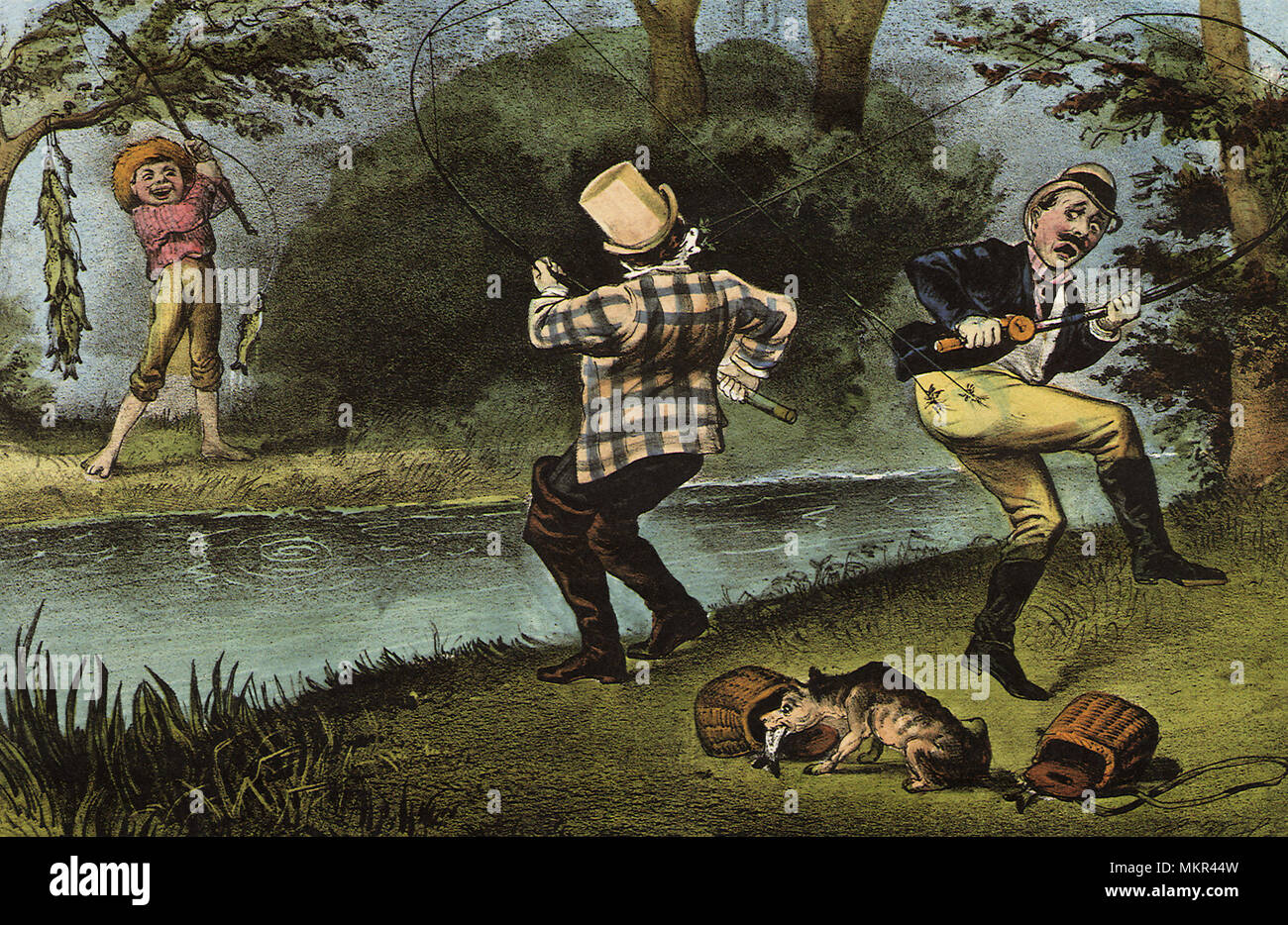 Fine fly hi-res stock photography and images - Alamy