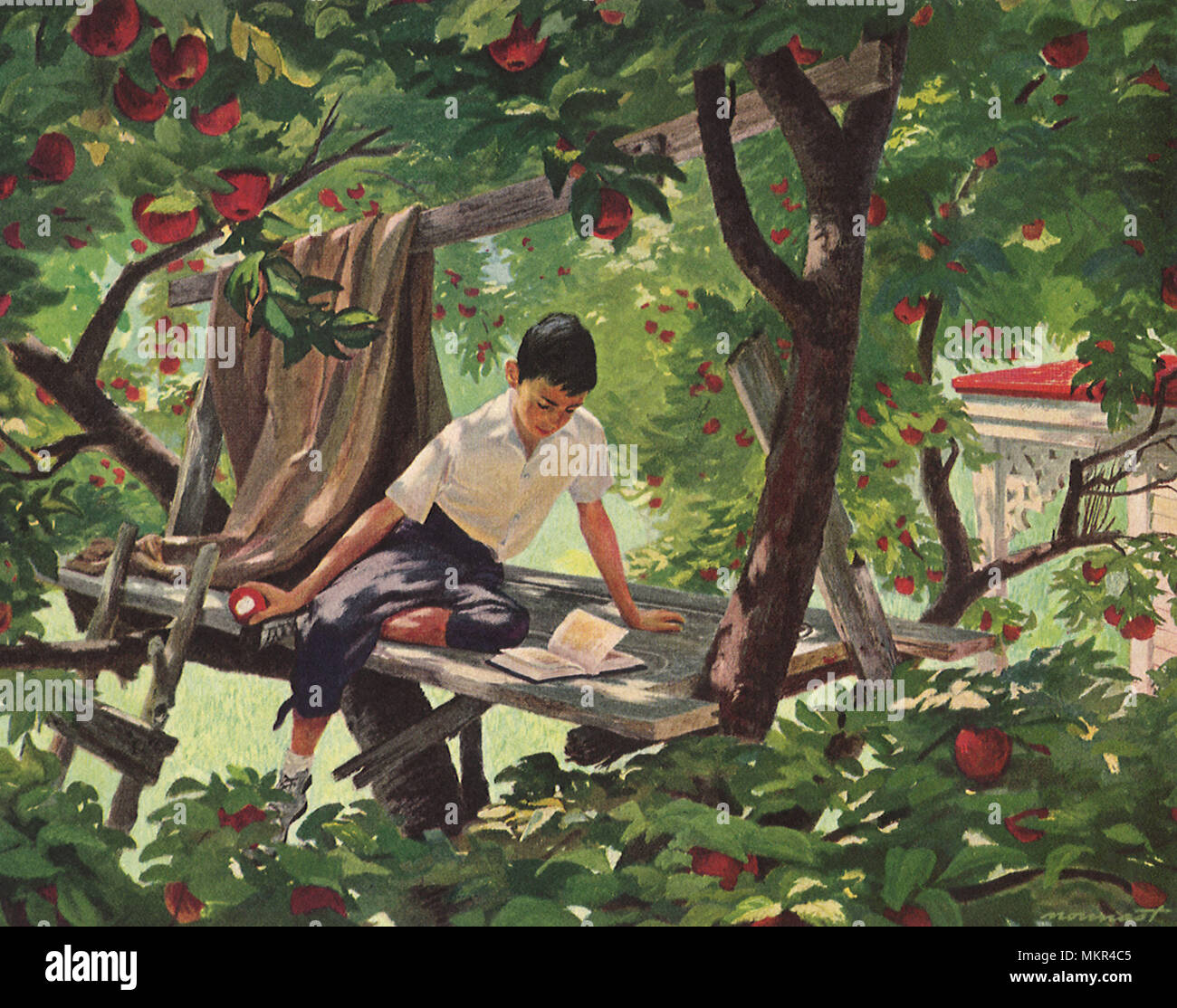 Boy reads in Apple Tree House Stock Photo - Alamy