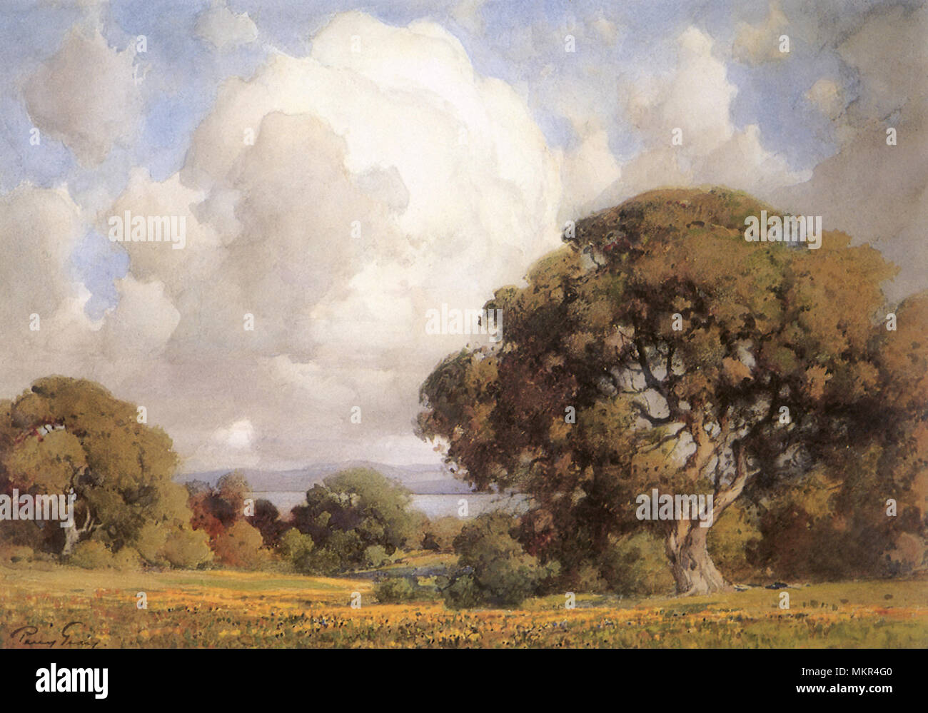 Marin country hi-res stock photography and images - Alamy