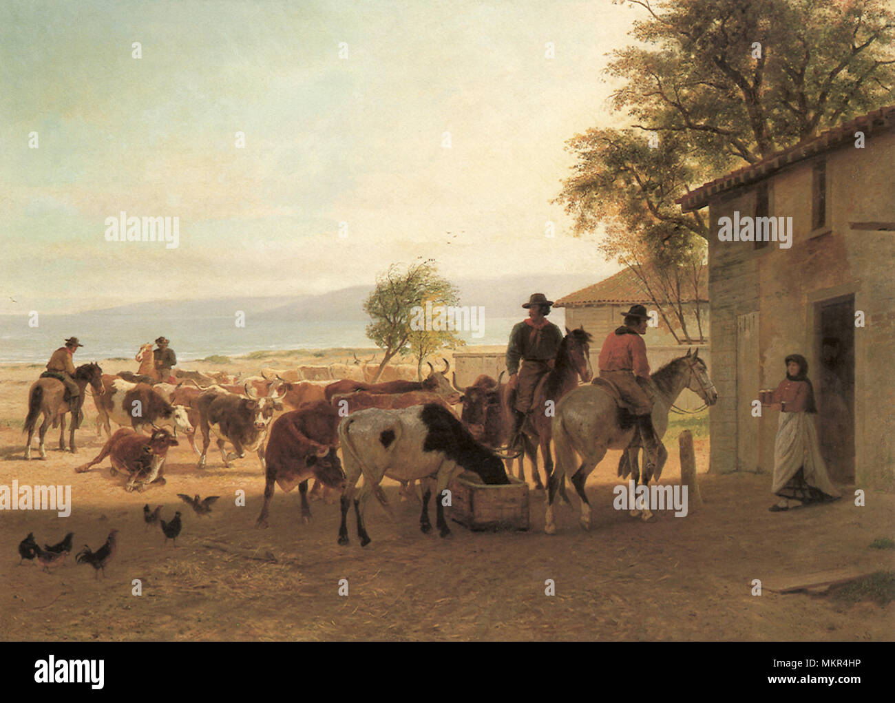 Ranch Scene, Monterey, California Stock Photo - Alamy