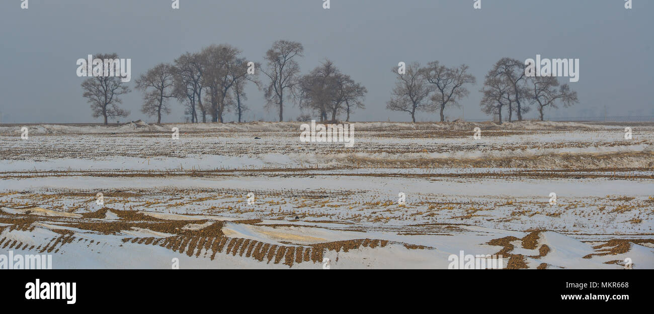 Harbin china walkway hi-res stock photography and images - Alamy