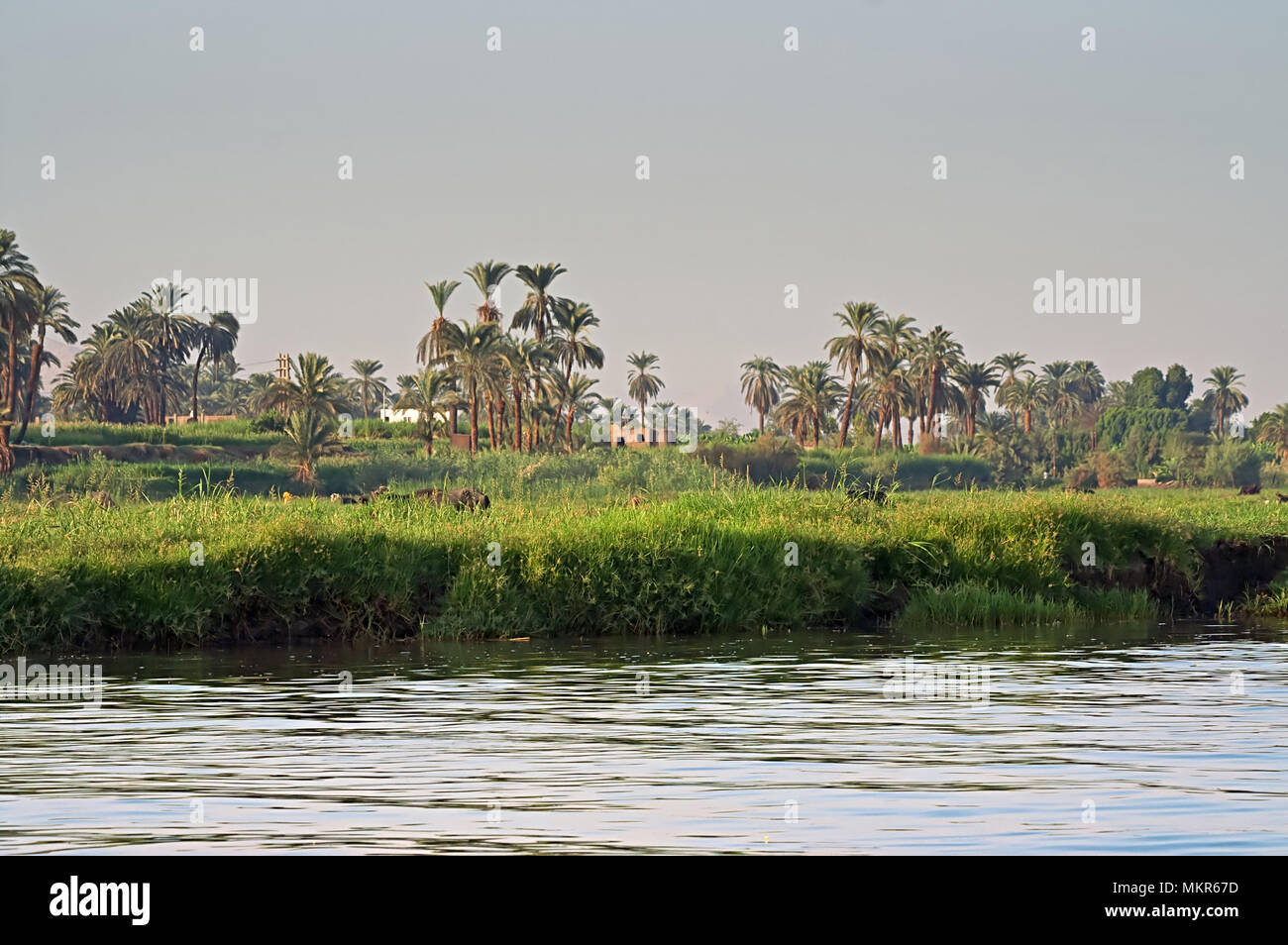 Nice view of river bank Nile in Egypt Stock Photo - Alamy