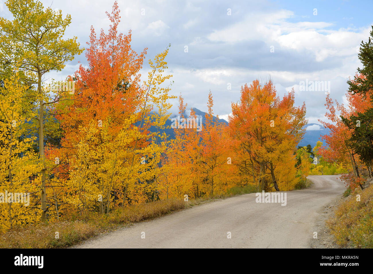 Boreas pass hi-res stock photography and images - Alamy