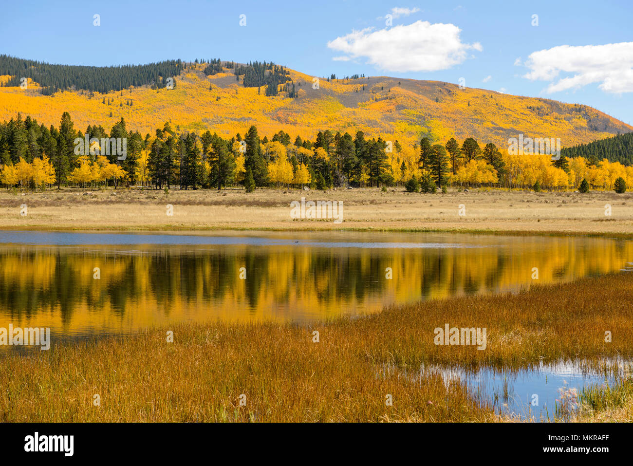 Kenosha Pass - Autumn at colorful Kenosha Pass, Colorado, USA Stock ...
