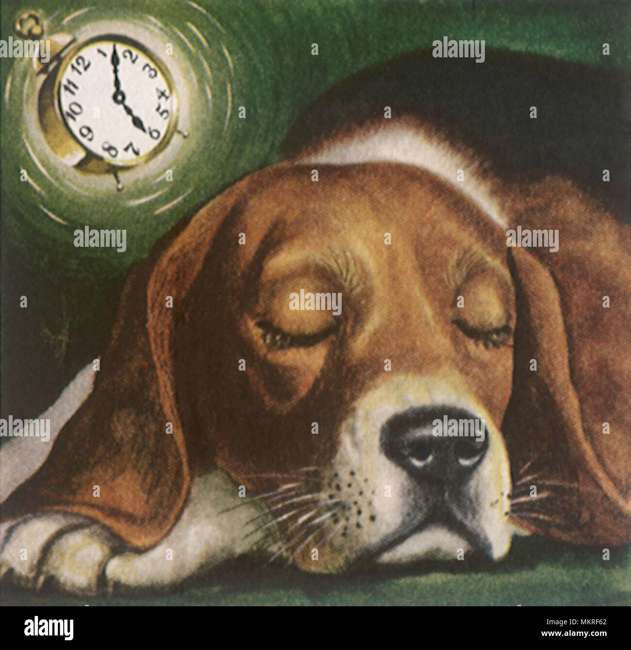 Clock with animals hi-res stock photography and images - Alamy