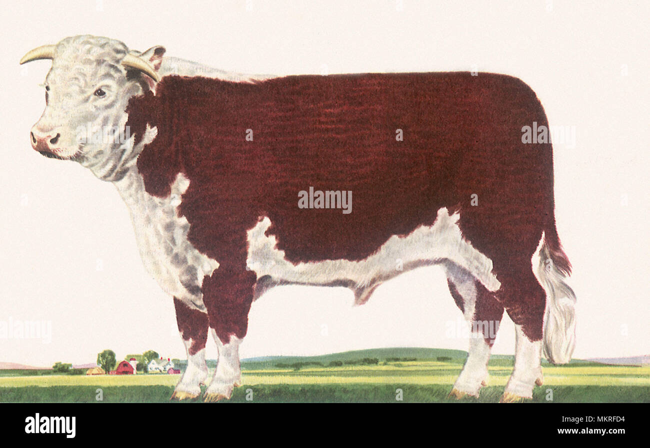 Classic farm animals hi-res stock photography and images - Alamy