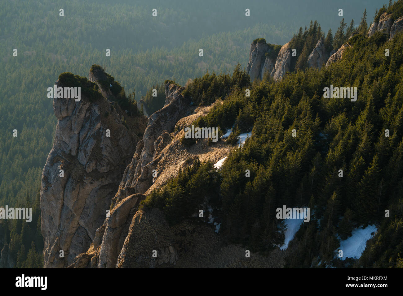 Ceahlau national park hi-res stock photography and images - Alamy