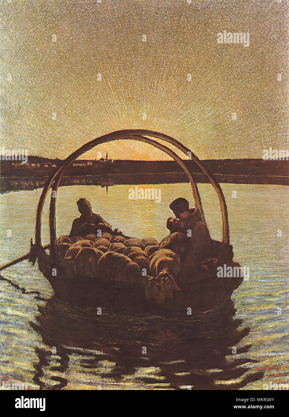 Assorted sheep hi-res stock photography and images - Alamy