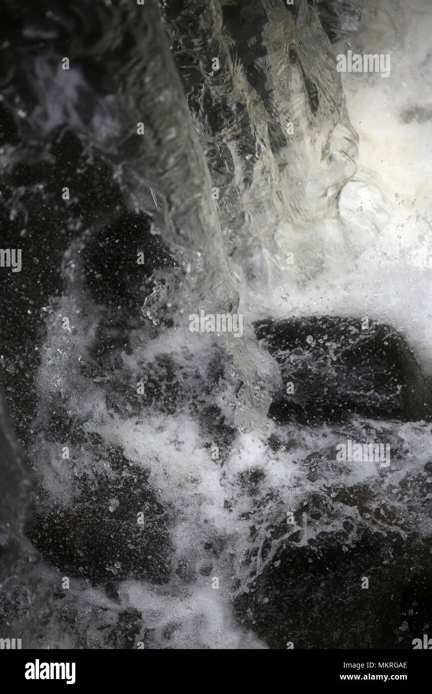 English trees and flowers in Spring Stock Photo - Alamy