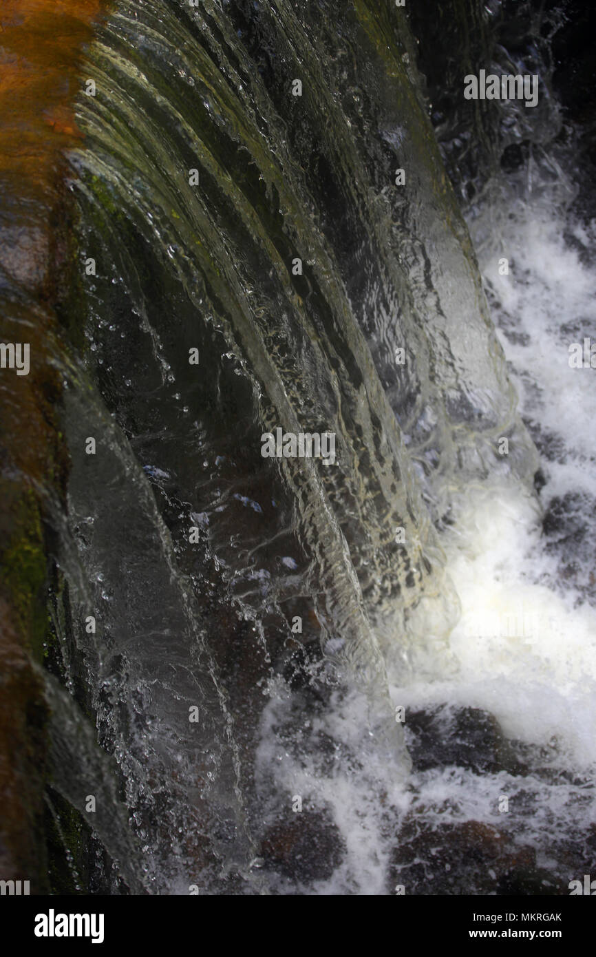 English trees and flowers in Spring Stock Photo - Alamy