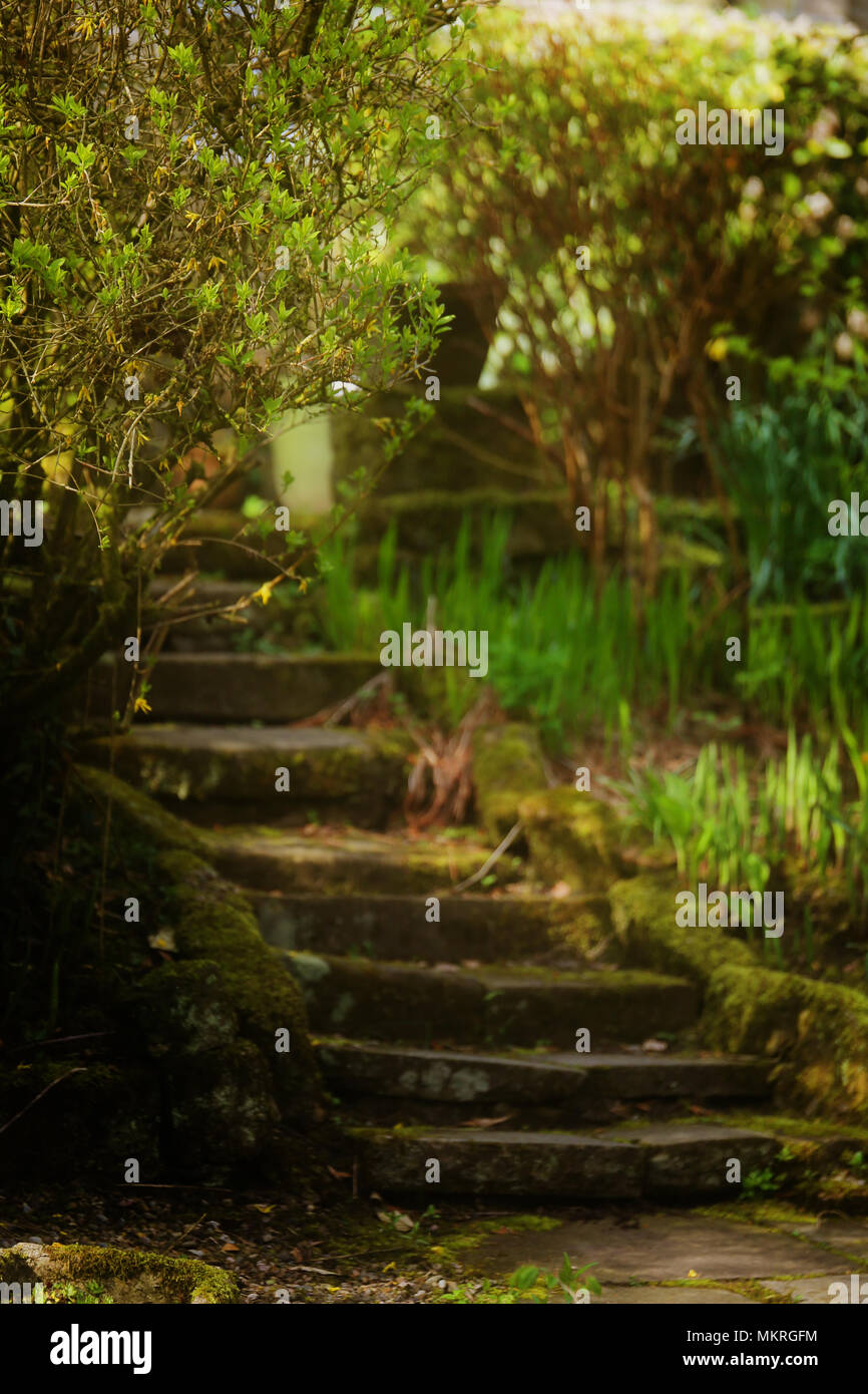 English trees and flowers in Spring Stock Photo - Alamy