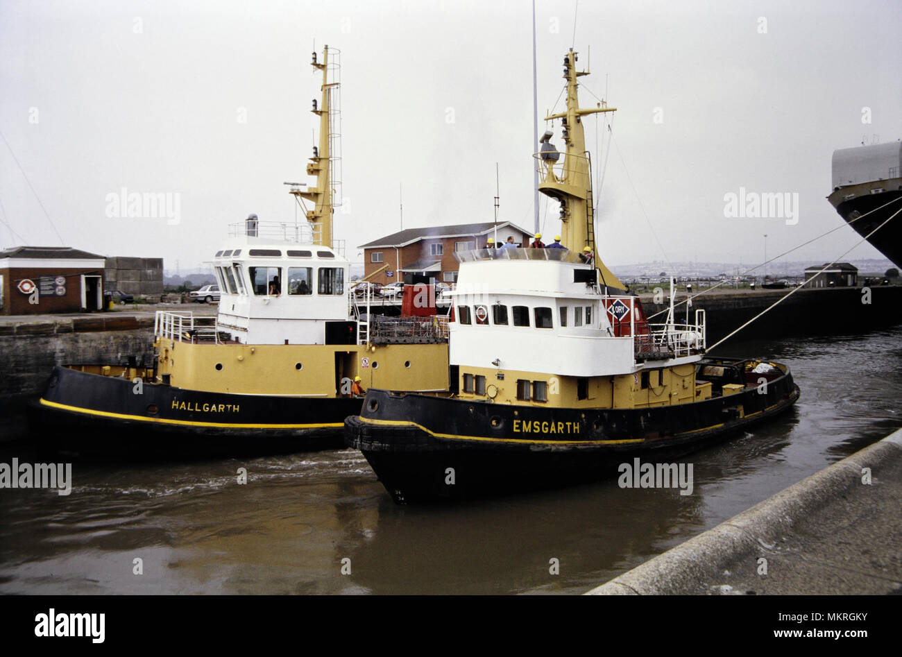 A pair of tug boats, pulling Bulk car carrying ship, Venus Diamond ...