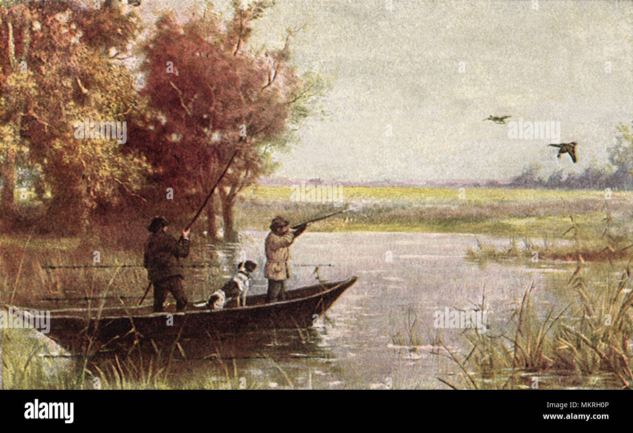 Man Shooting Ducks from Boat in Swamp Stock Photo - Alamy