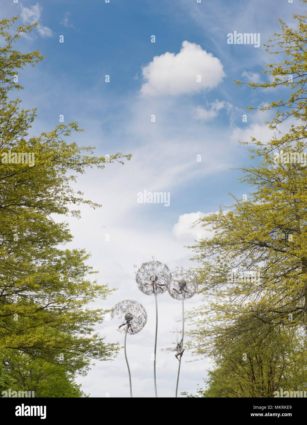 Dandelion wire sculptures and spring tree foliage at RHS Wisley gardens ...