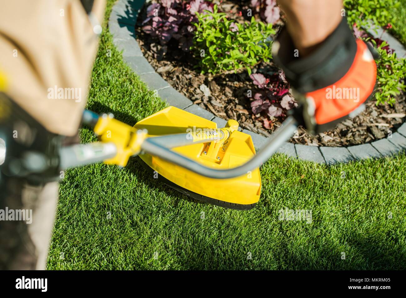 String Grass Trimming Equipment. Taking Care of the Lawn Stock Photo ...