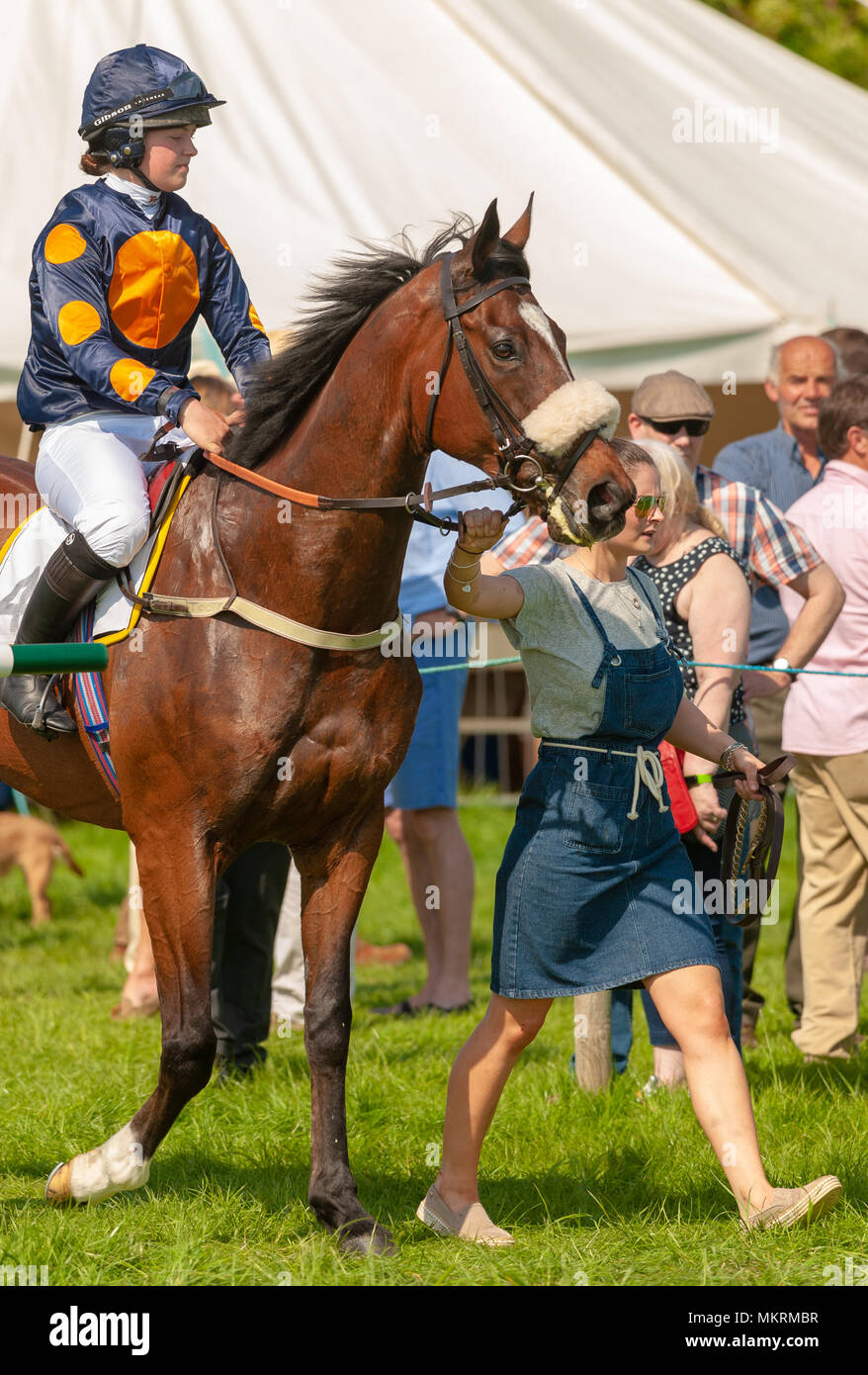 Laeding out a horse and rider Eyton on Severn Point to Point 7th May ...