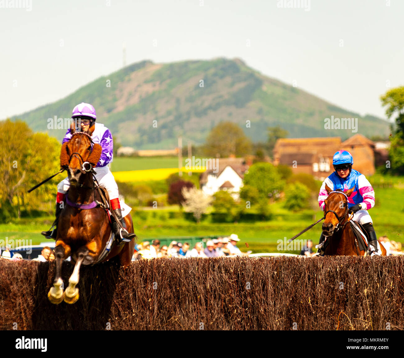Horses jumping fence with Wrekin in the background Eyton on Severn ...
