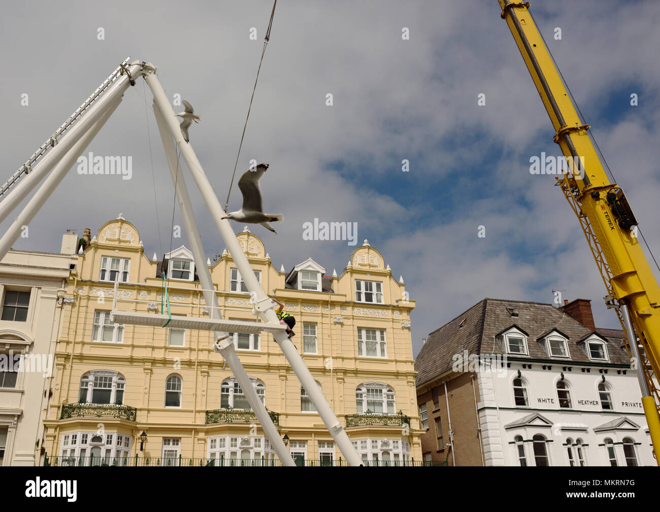 Mobile crane lifting steel framework into position, rigger wearing ppe ...