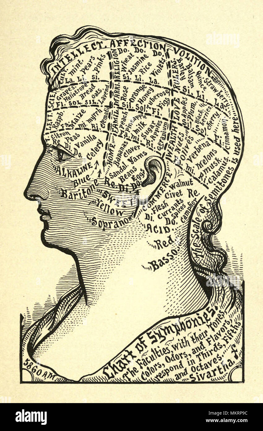 Annotated illustration hi-res stock photography and images - Alamy