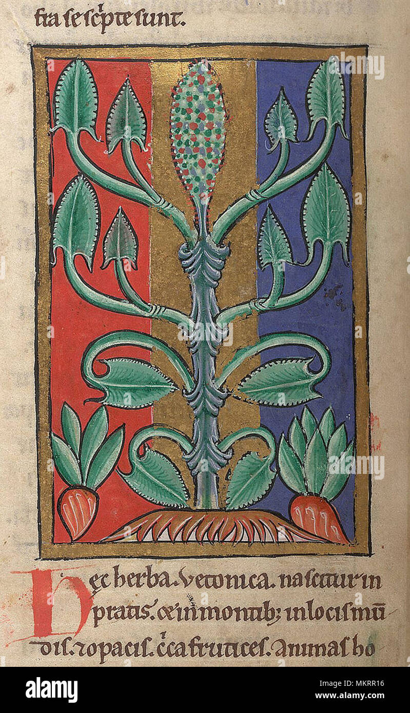 vintage medieval art Stock Photo - Alamy