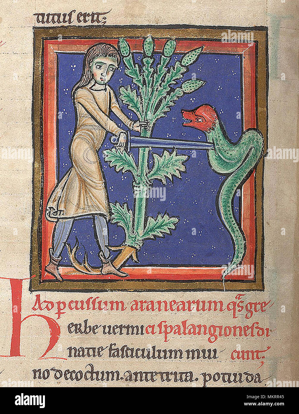 vintage medieval art Stock Photo - Alamy