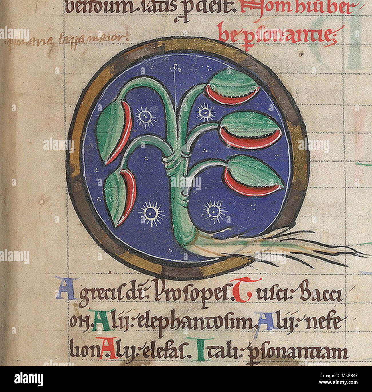 vintage medieval art Stock Photo - Alamy