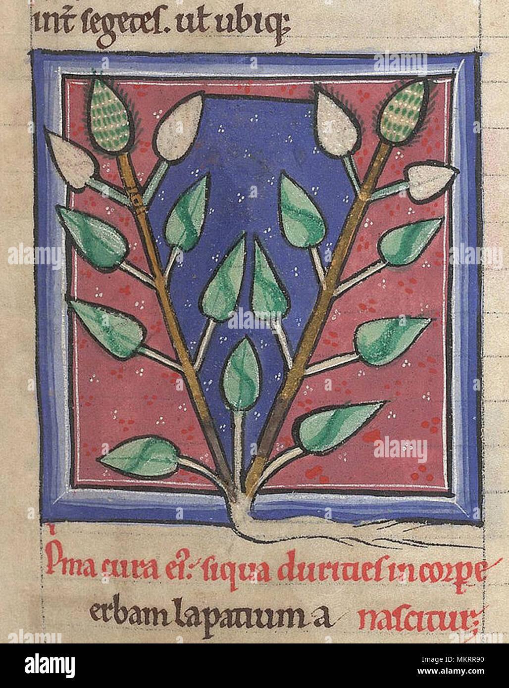 vintage medieval art Stock Photo - Alamy