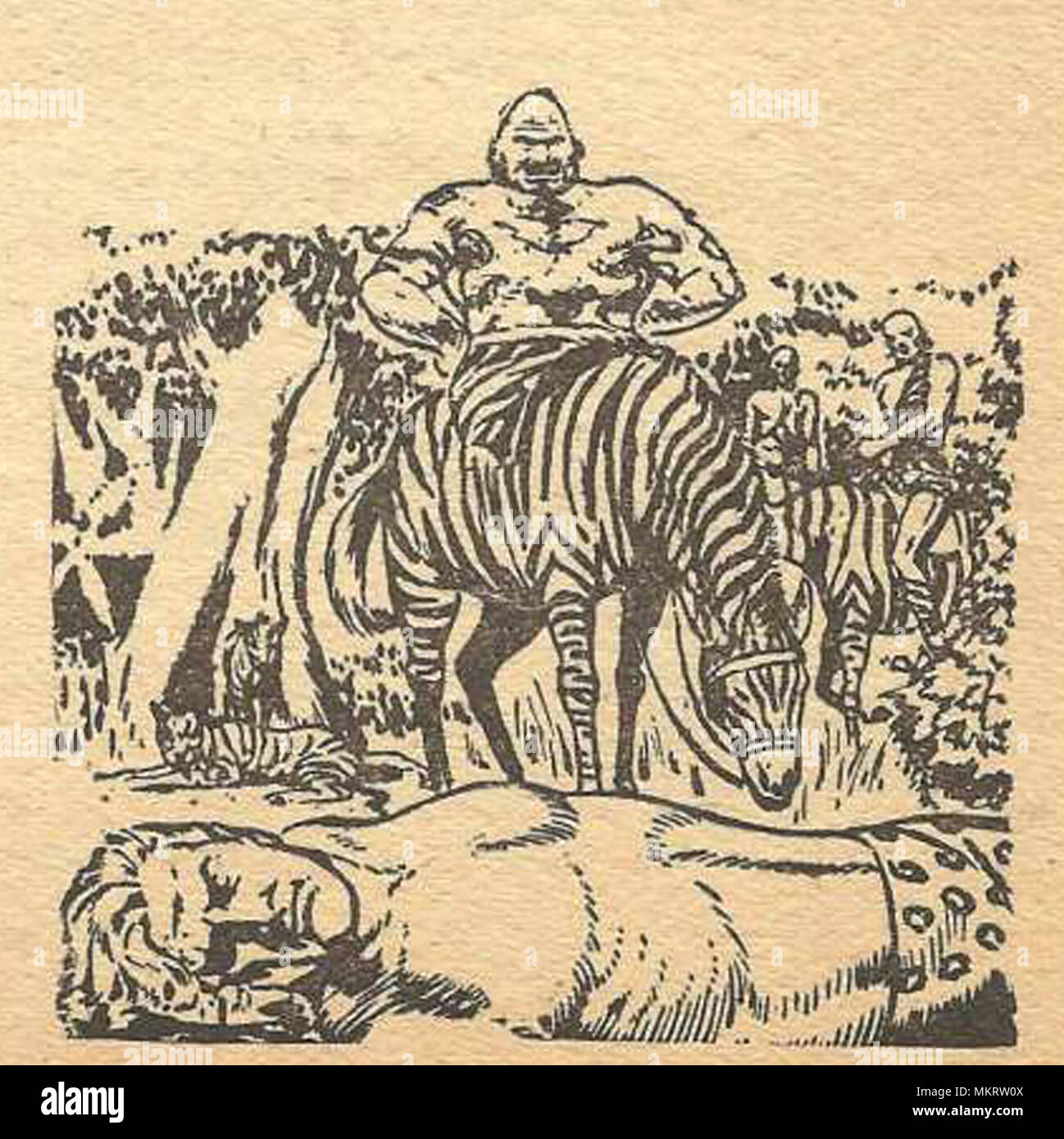 Tarzan illustration hi-res stock photography and images - Alamy