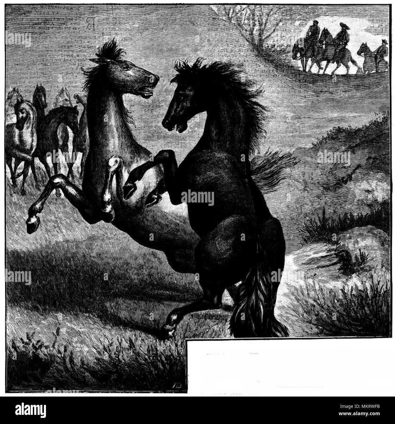 classic archival illustration from a antique american pulp magazine ...