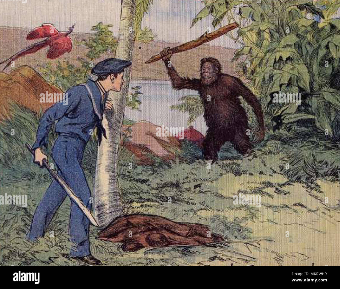 Monkey sailor hi-res stock photography and images - Alamy