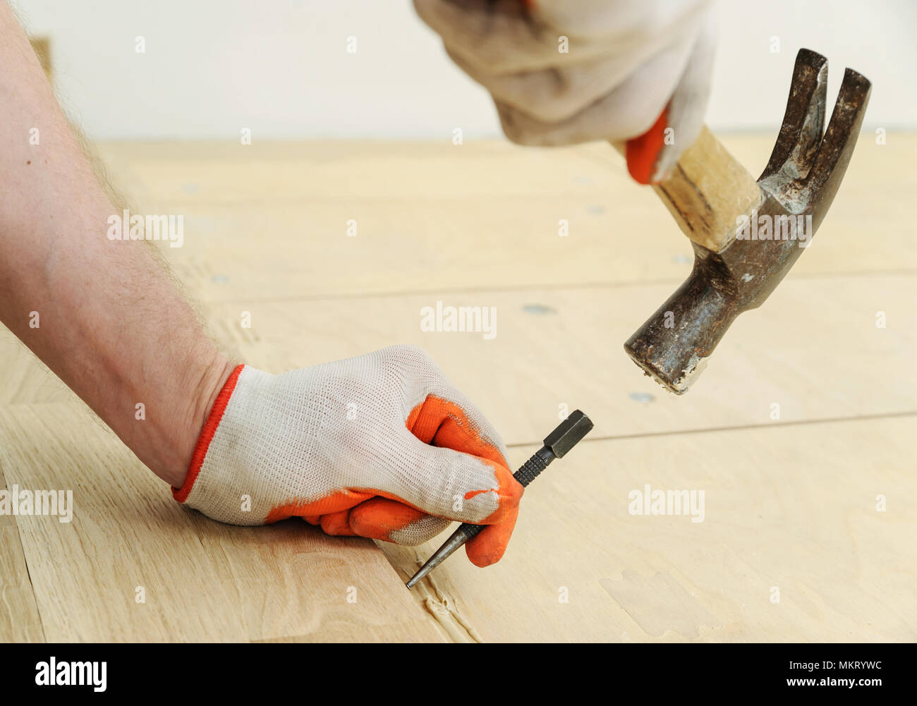 Laying hardwood parquet. Worker put the nail using a hammer Stock Photo ...