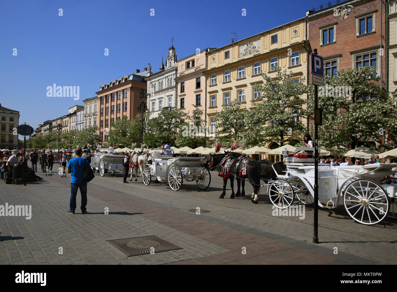 Rynek Glowny, Krakow, Poland Stock Photo - Alamy
