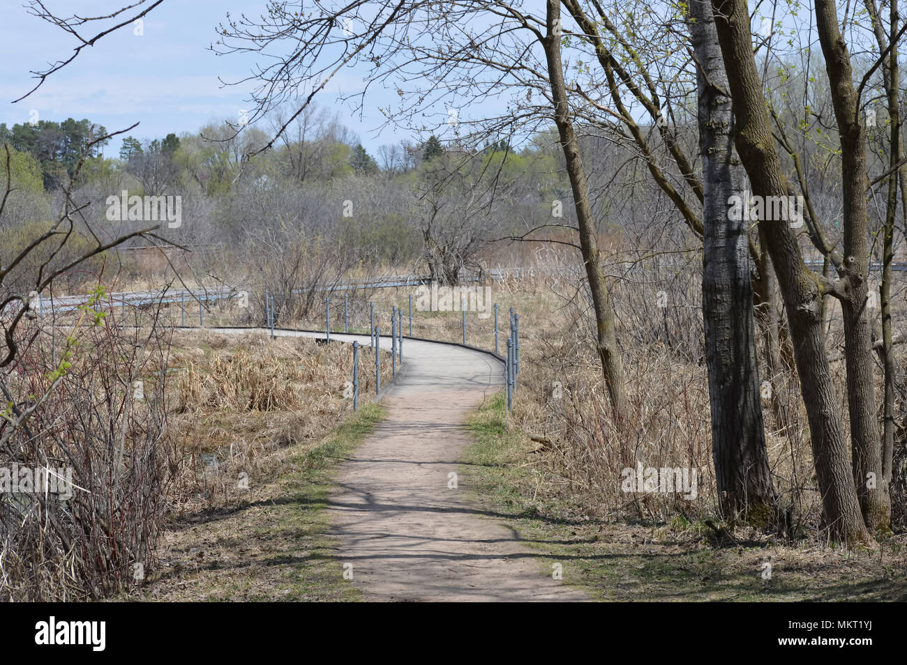 Wetland during spring hi-res stock photography and images - Alamy