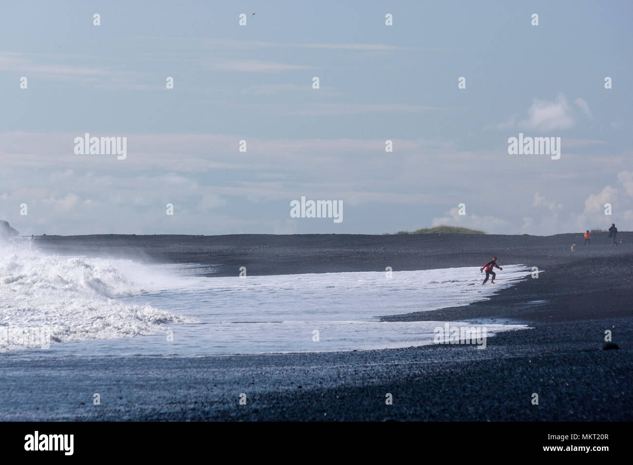 Tourist running from wave in the black sand beach, Reynisdrangar are ...