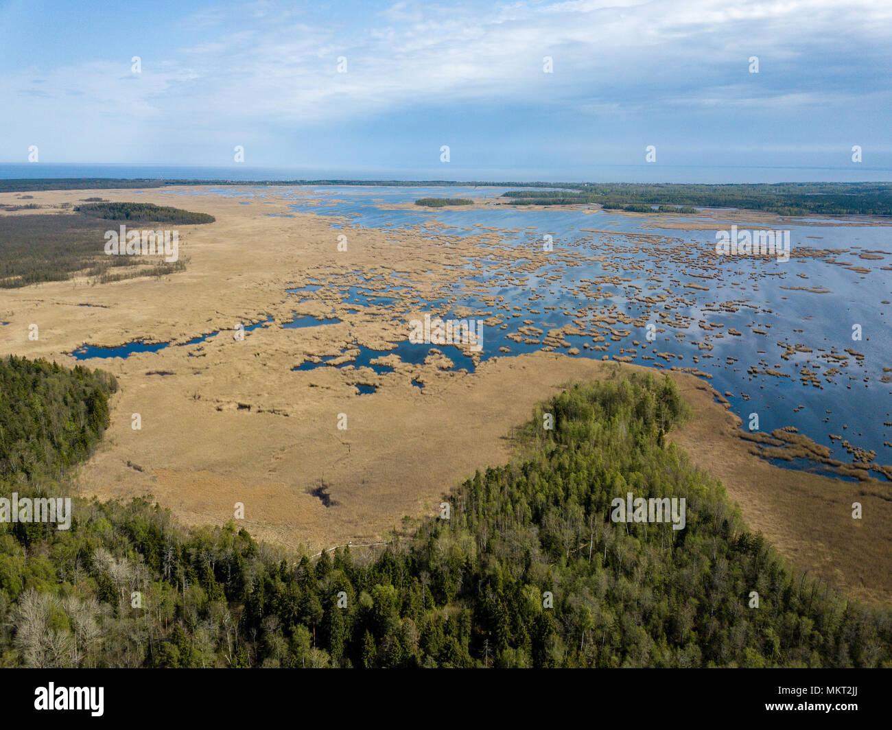 drone image. aerial view of rural area with fields and forests and ...
