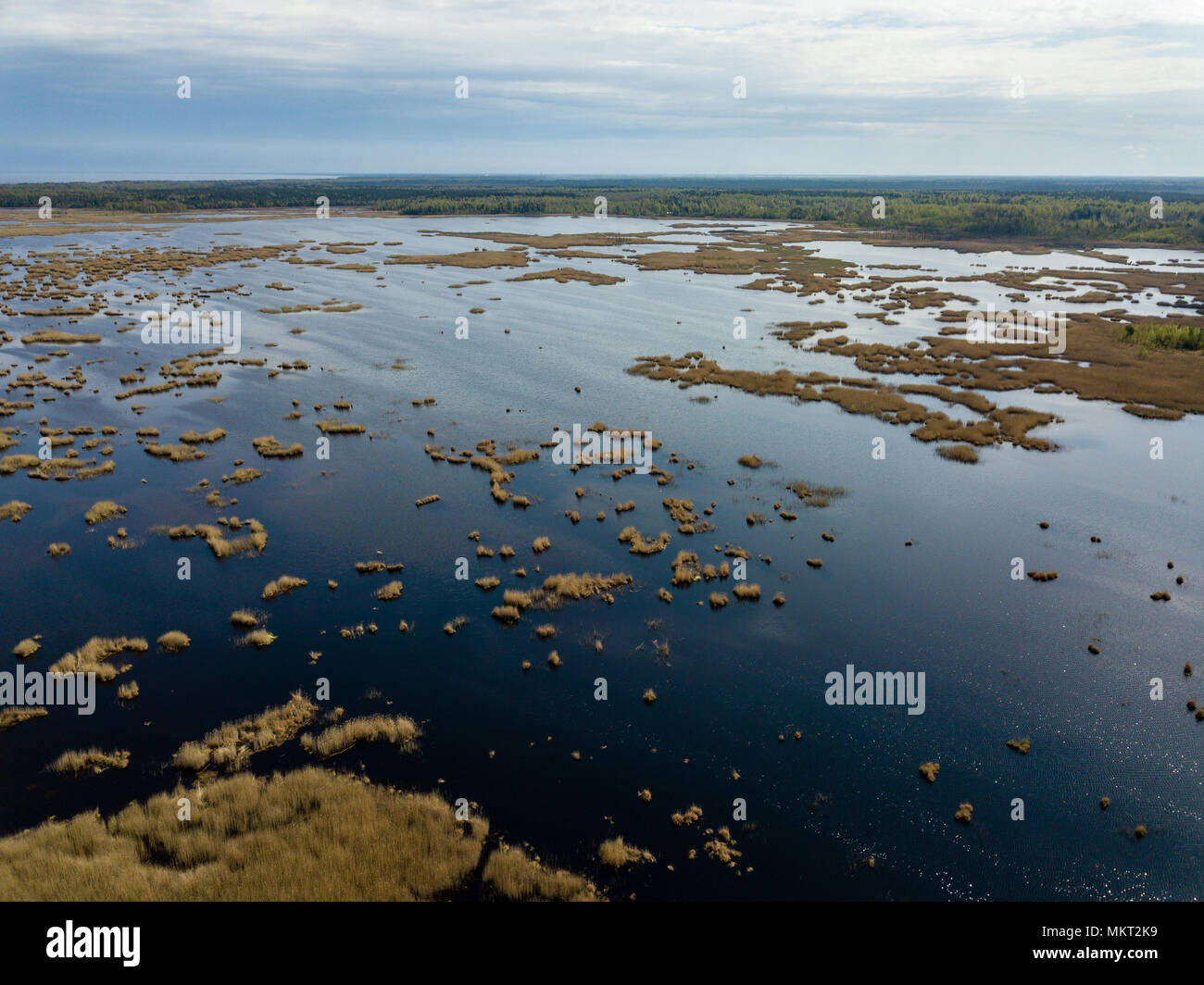 drone image. aerial view of rural area with fields and forests and ...