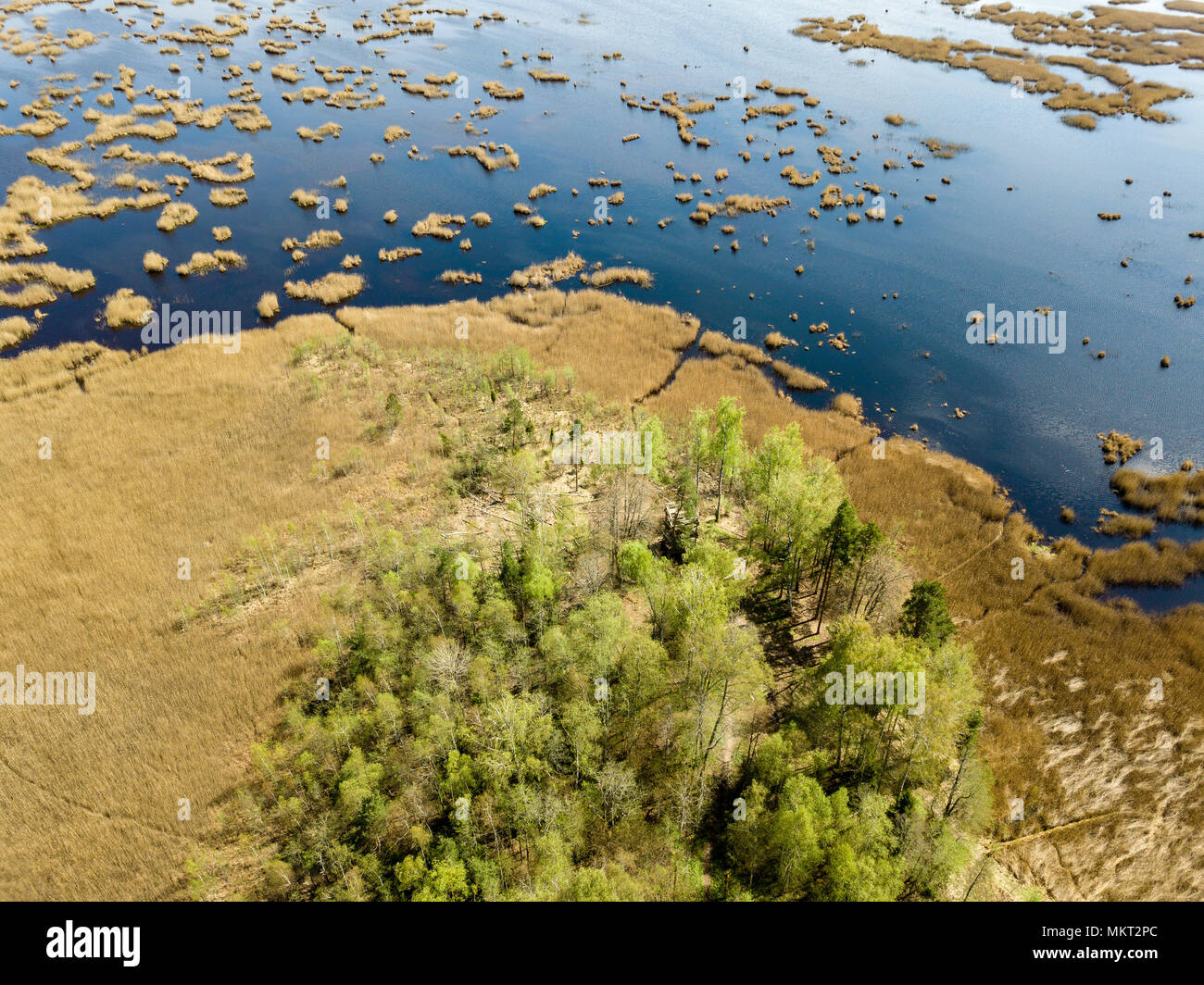 drone image. aerial view of rural area with fields and forests and ...