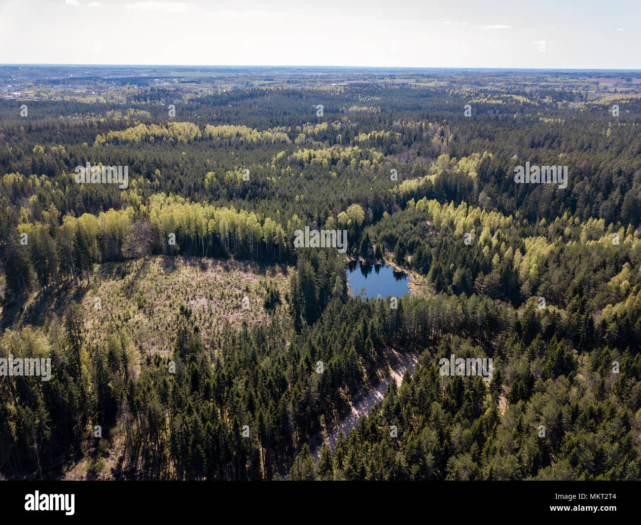 drone image. aerial view of rural area with fields and forests in ...