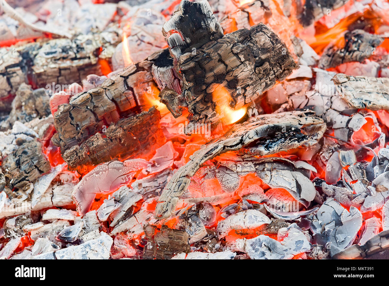 Quebracho tree hi-res stock photography and images - Alamy