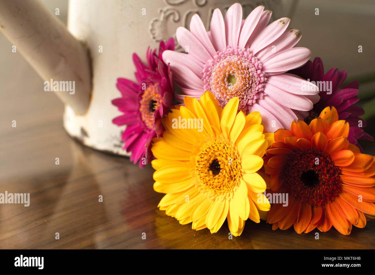 Floral arrangement of bright colored flowers for gardening background ...