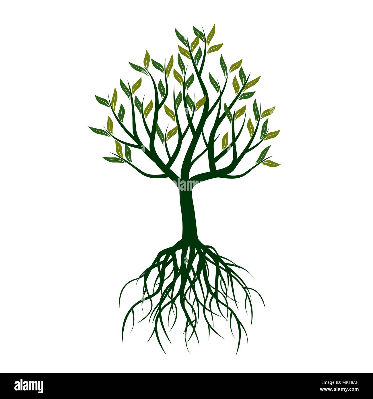 Underground tree roots Cut Out Stock Images & Pictures - Alamy