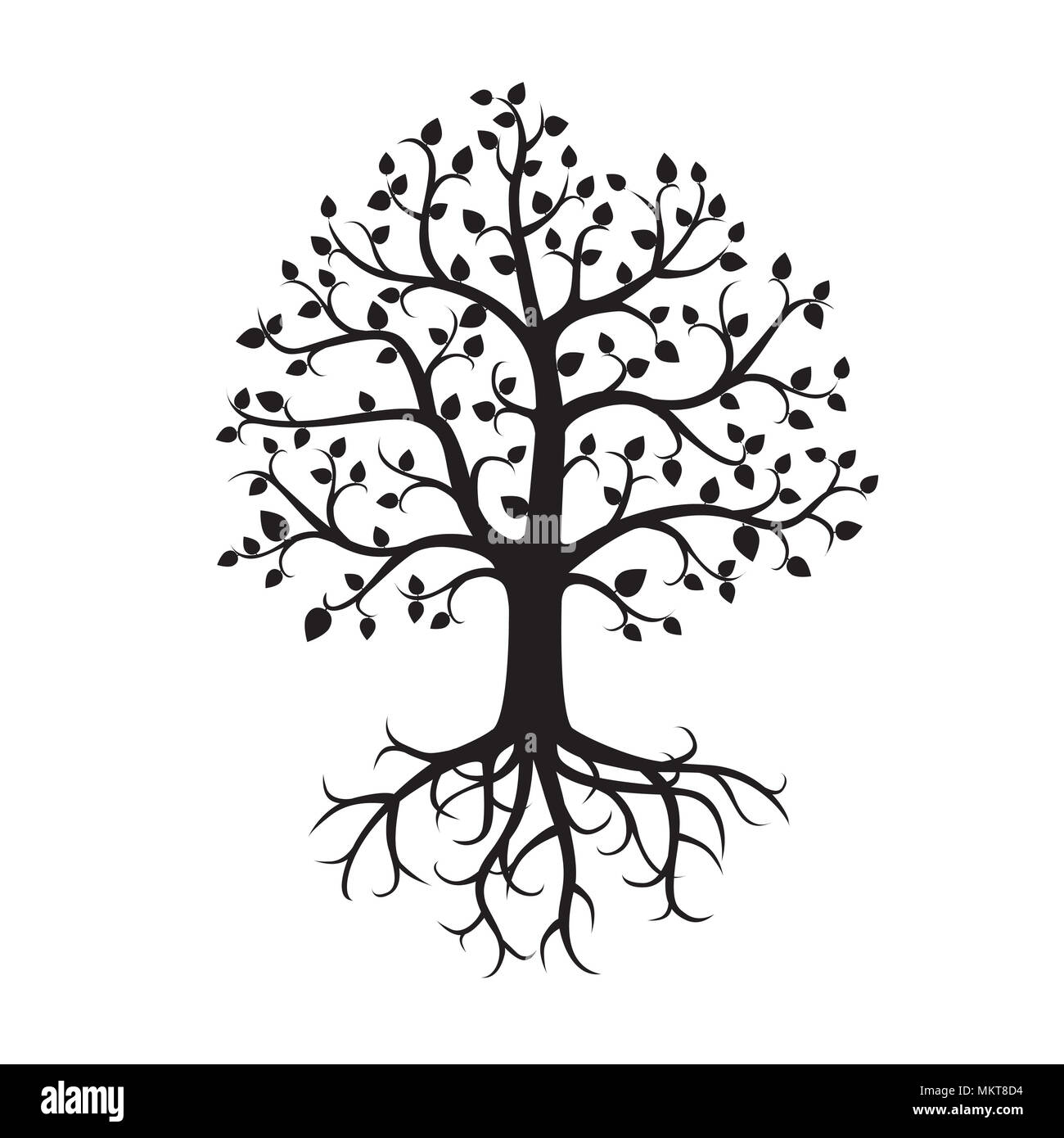 Tree And Roots Vector Black High Resolution Stock Photography and ...