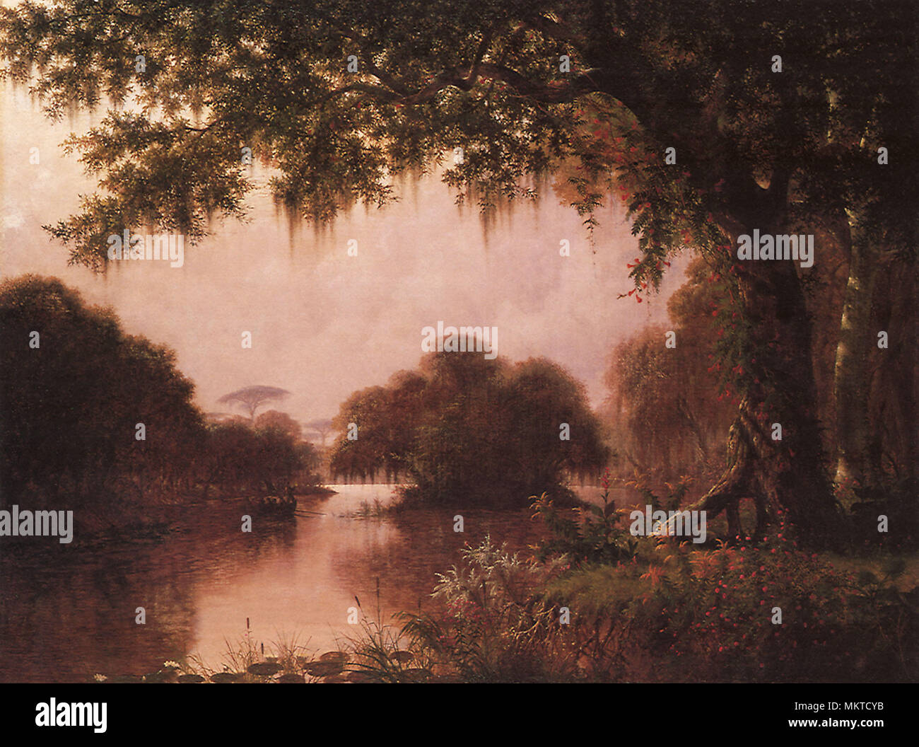 Evangeline tree hi-res stock photography and images - Alamy