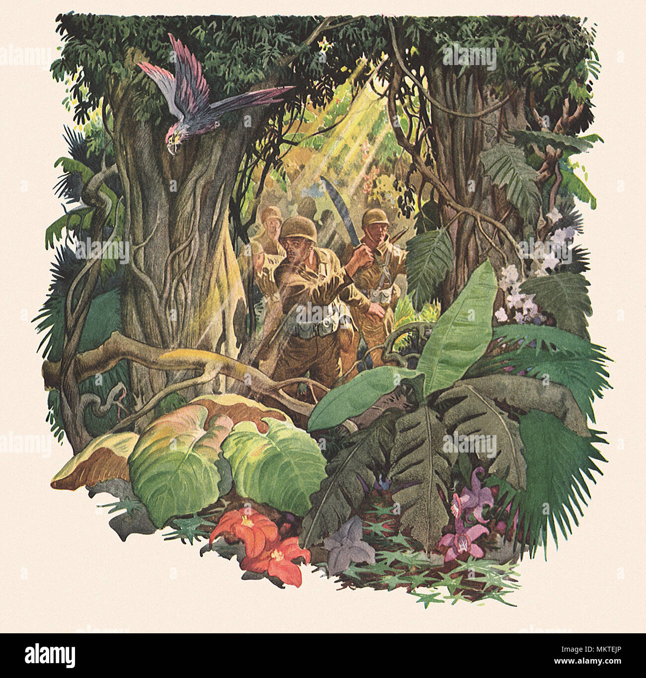 Jungle warfare hi-res stock photography and images - Alamy